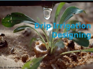 drip irrigation .How use of drip irrigation in smart modern irrigation ...