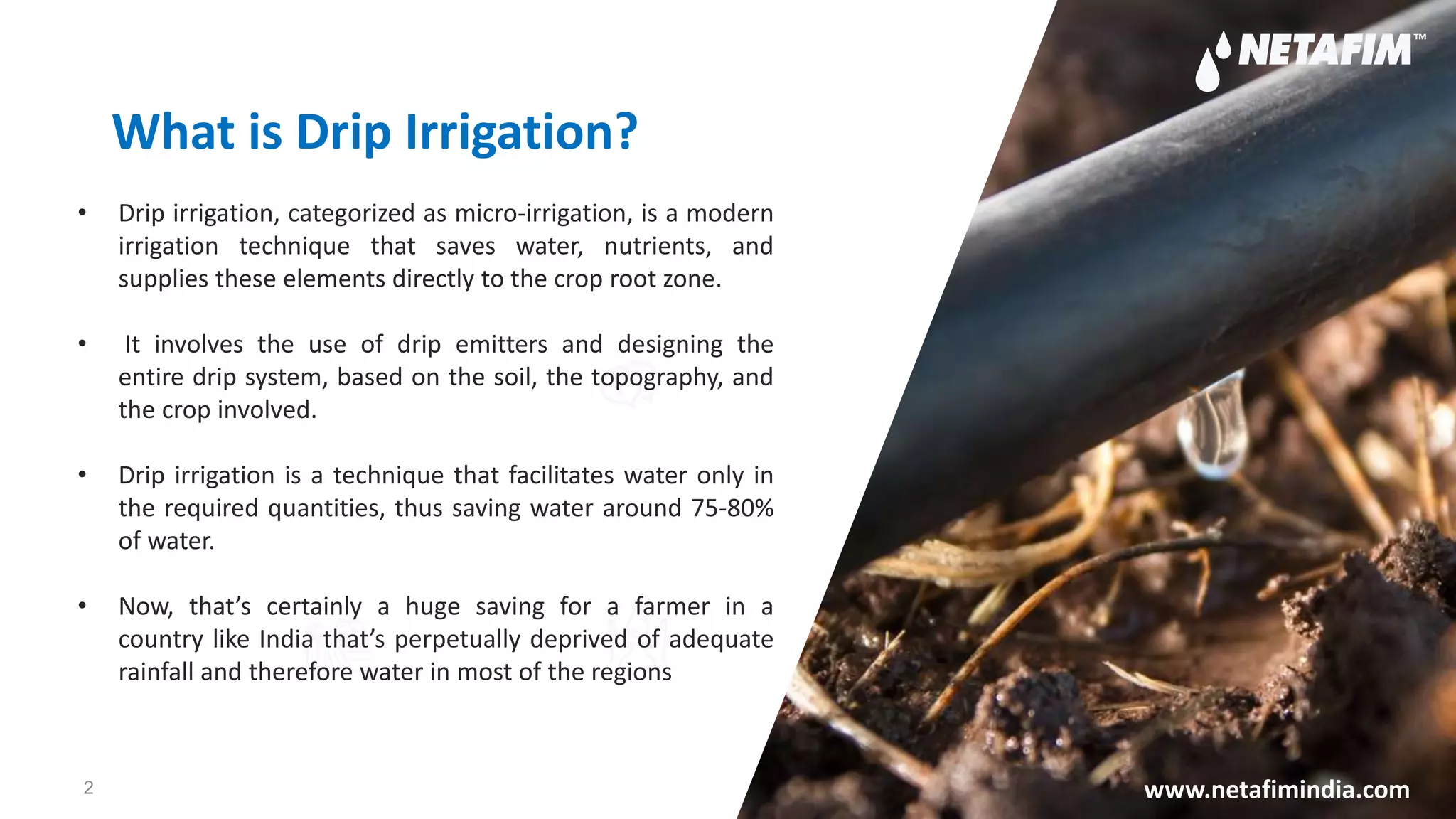 Benefits of Drip Irrigation by Netafim India | PPTX