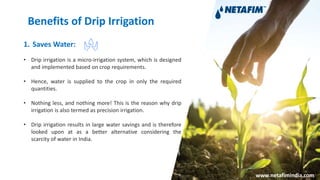 Benefits of Drip Irrigation by Netafim India | PPTX