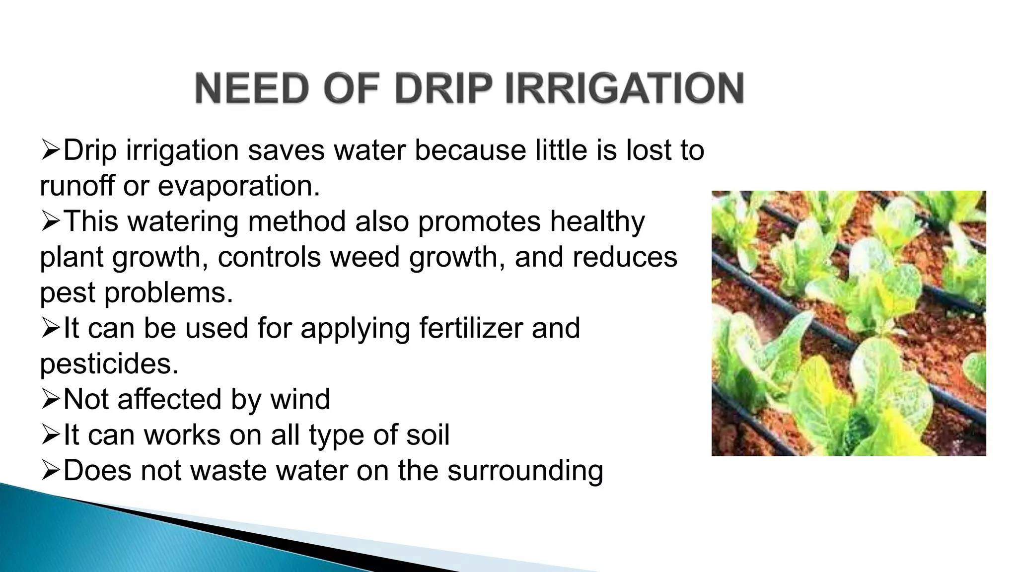drip irrigation-seminar ppt_100115.pptx