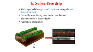 Drip Irrigation 7fjfjfifididifififfifi.pptx