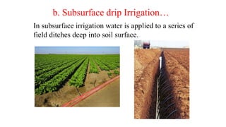 Drip Irrigation 7fjfjfifididifififfifi.pptx