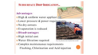 Drip Irrigation 7fjfjfifididifififfifi.pptx