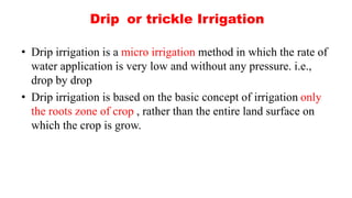 Drip Irrigation 7fjfjfifididifififfifi.pptx