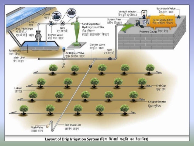 Drip irrigation and fertigation