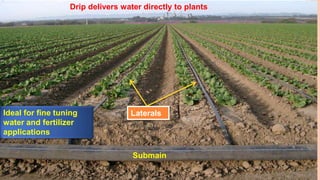 Drip irrigation and fogging system under protected structure | PPTX