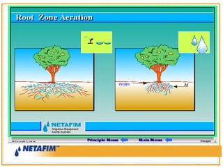 Drip irrigation fundamentals | PPT
