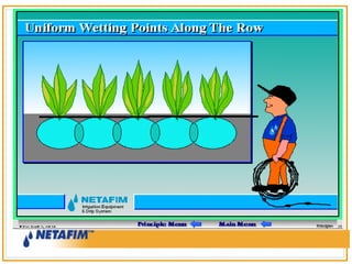Drip irrigation fundamentals | PPT | Water Services | Home Utilities