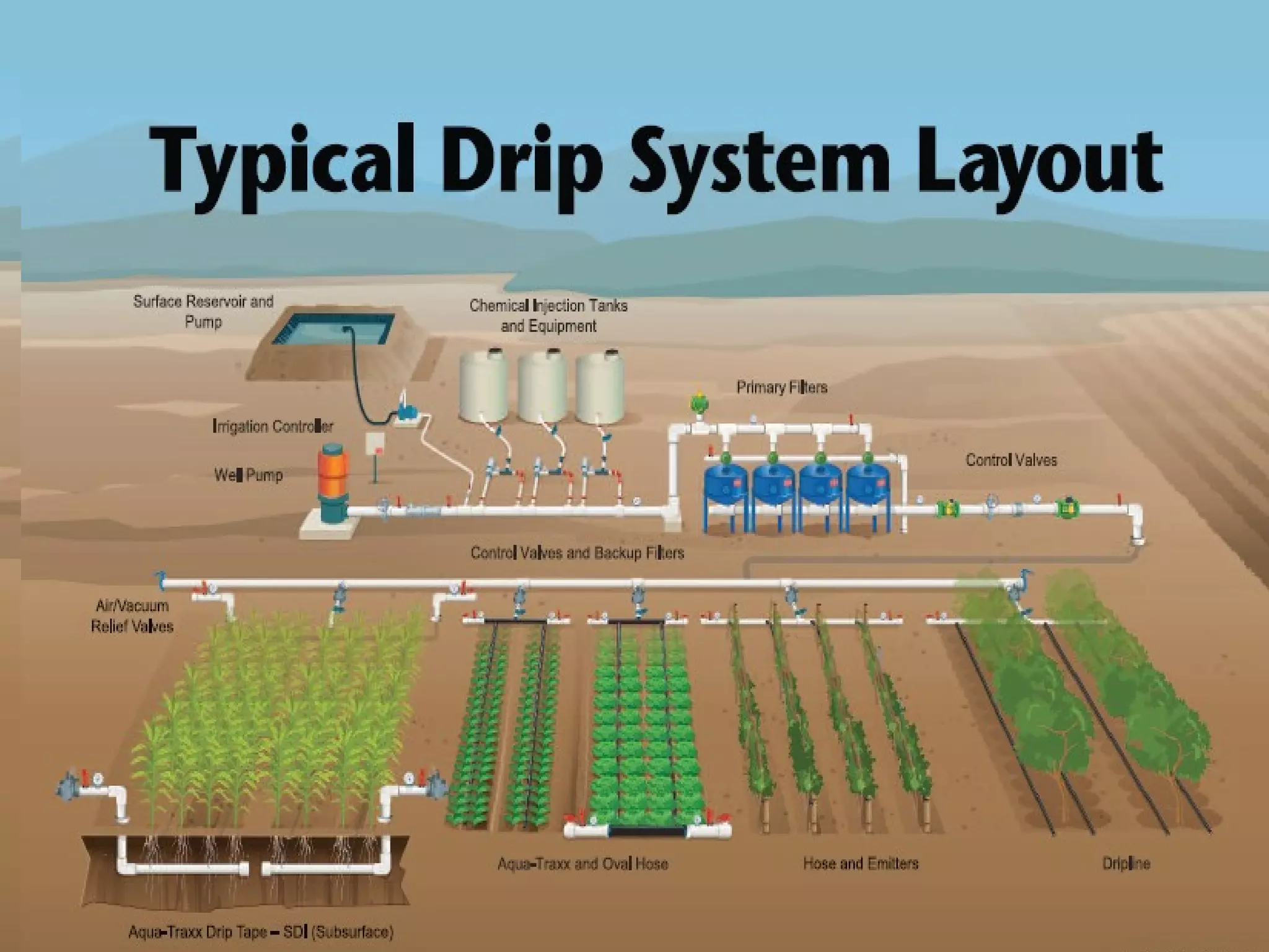 Drip irrigation | PPT