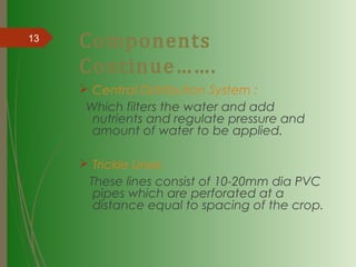 Drip irrigation | PPT