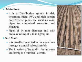 Drip irrigation in fruits | PPTX