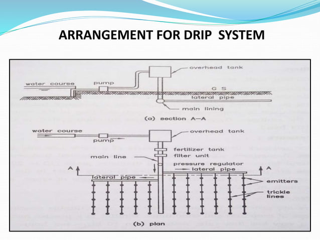 Drip irrigation in fruits | PPT