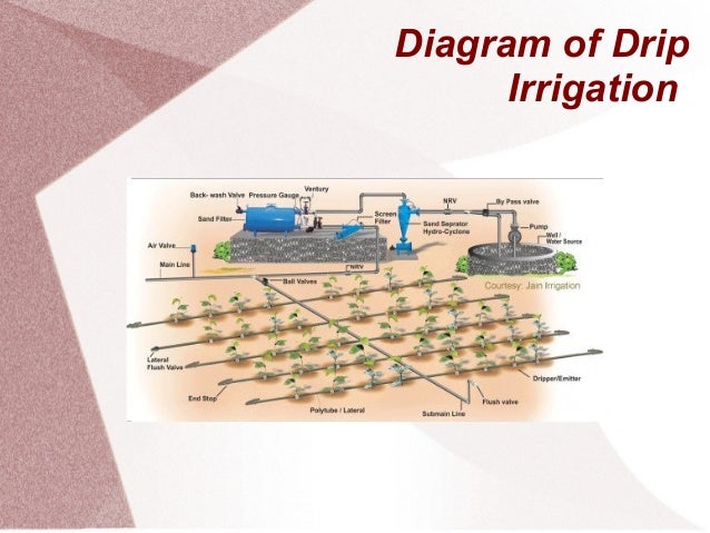 Residential Drip Irrigation Diagram