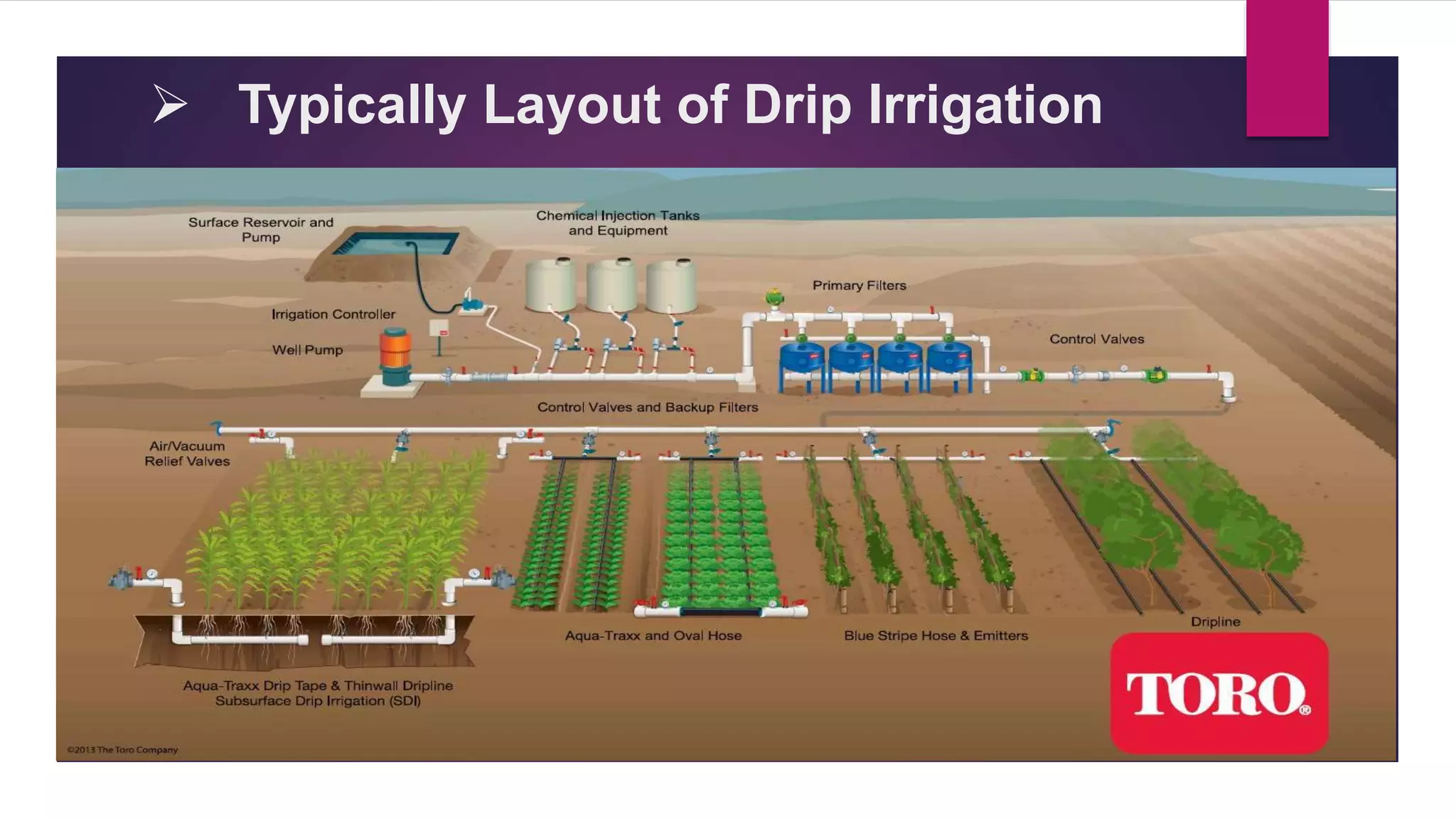 Drip irrigation system | PPTX