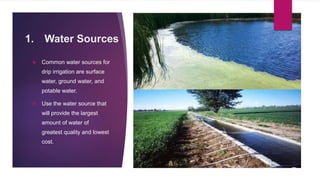 Drip irrigation system | PPTX
