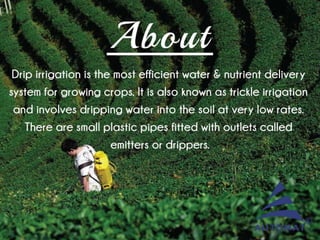 Drip irrigation system and its usage | PPT