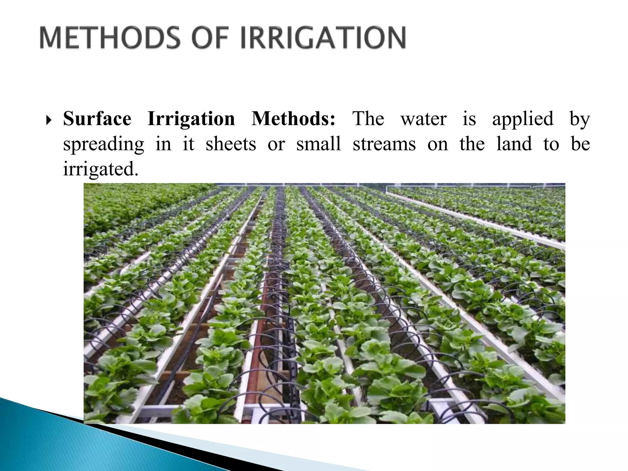 Drip irrigation waseem ppt | PPTX