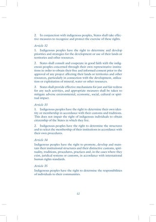 United NAtions Declaration on the Rights of Indigenous Peoples | PDF