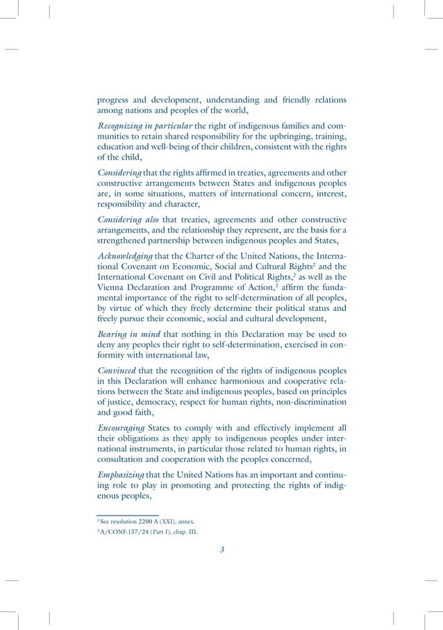 United NAtions Declaration on the Rights of Indigenous Peoples | PDF