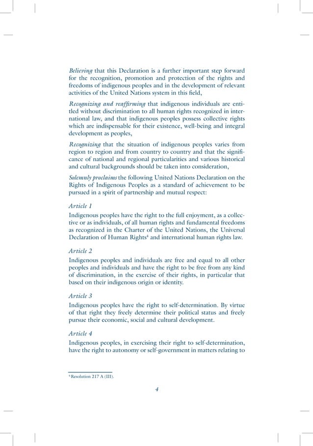 United NAtions Declaration on the Rights of Indigenous Peoples | PDF