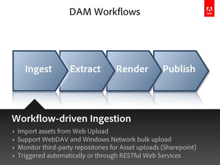 Drive dam | PPT