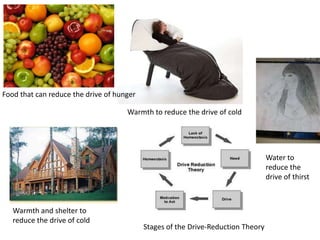 Drive reduction theory | PPTX