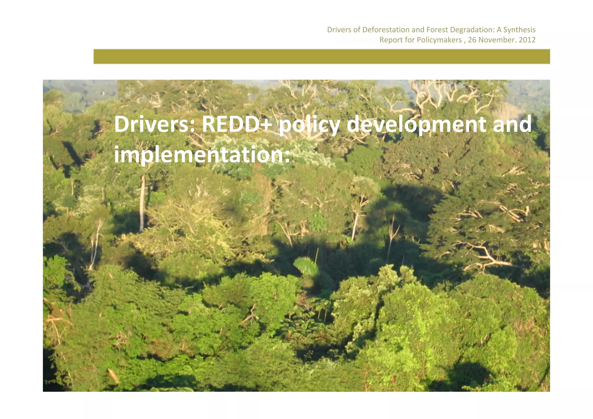 Drivers of deforestation and forest degradation | PDF