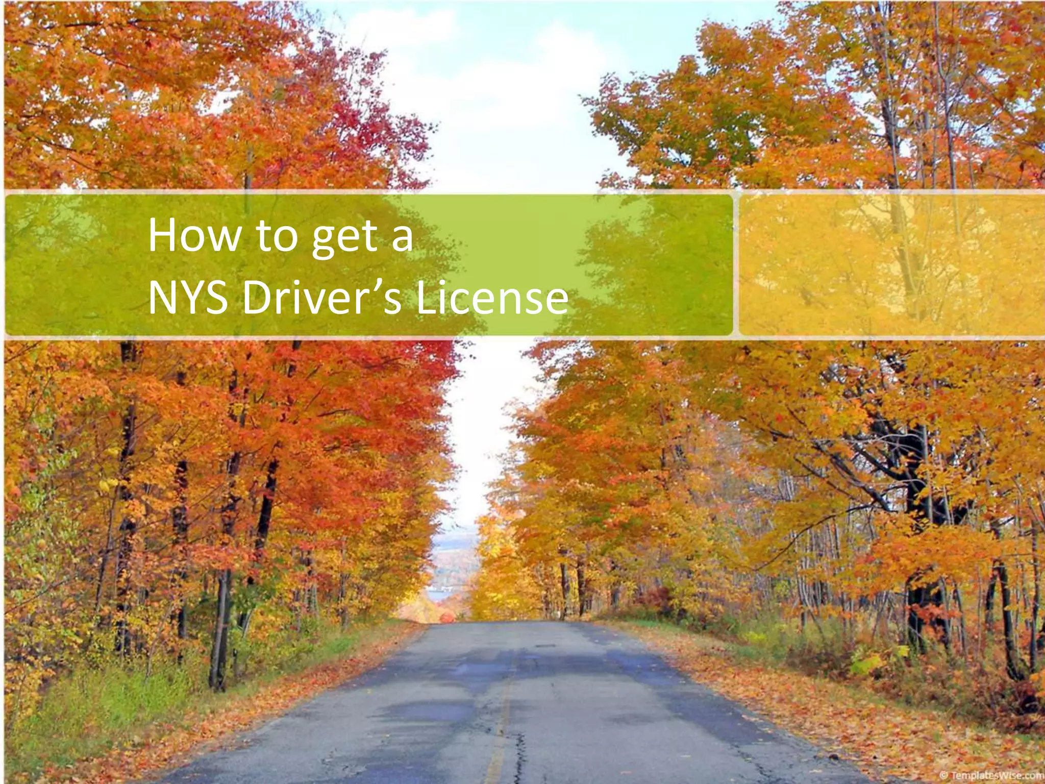 Driver's license powerpoint | PPTX