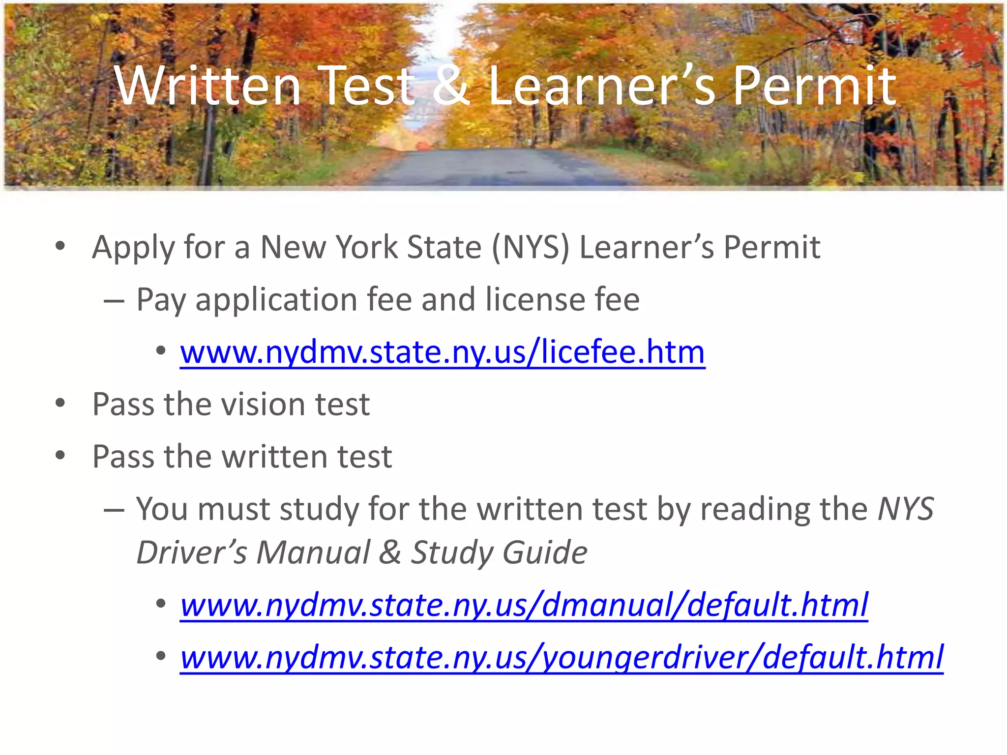 Driver's license powerpoint | PPTX