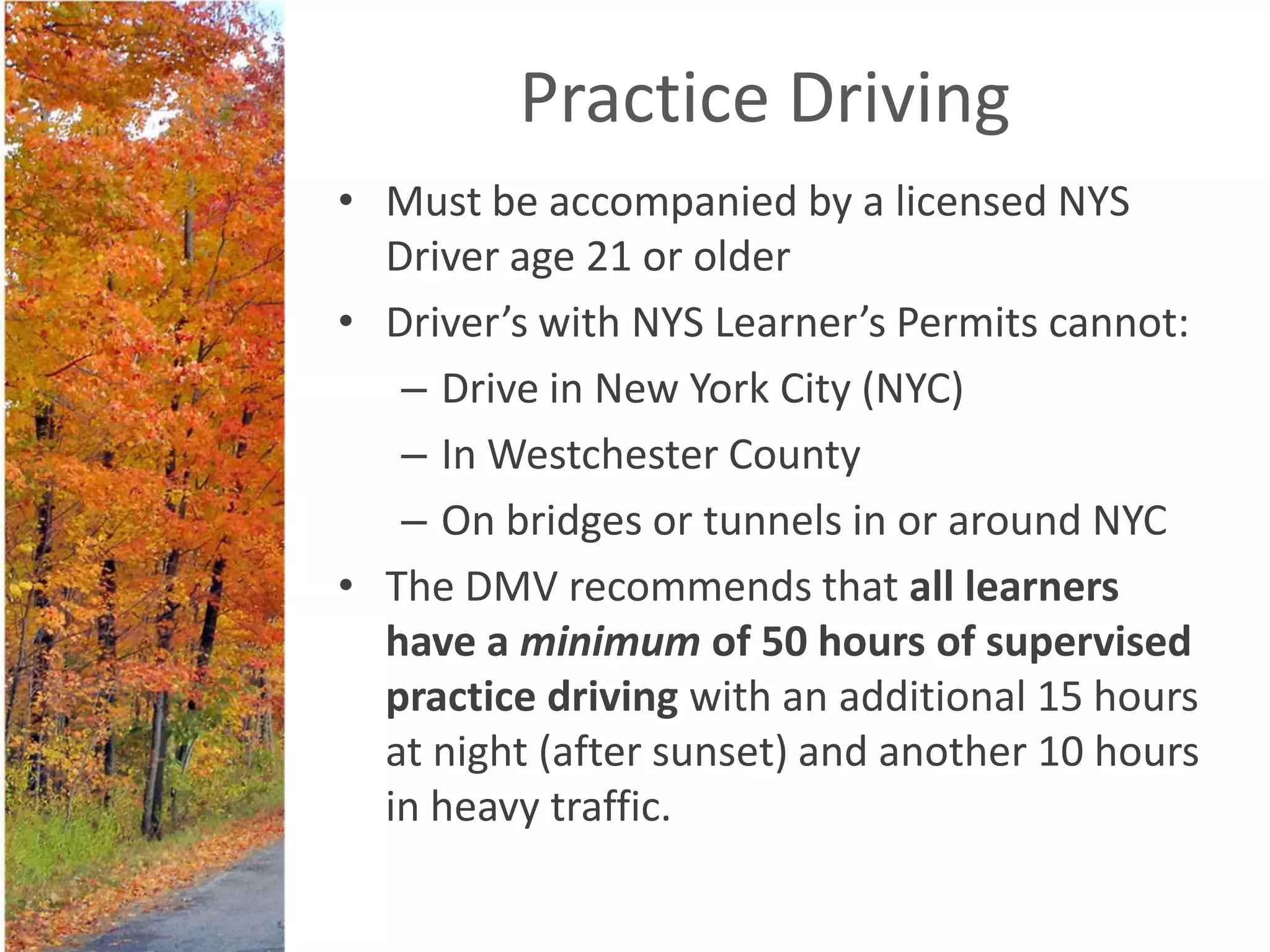 Driver's license powerpoint | PPTX