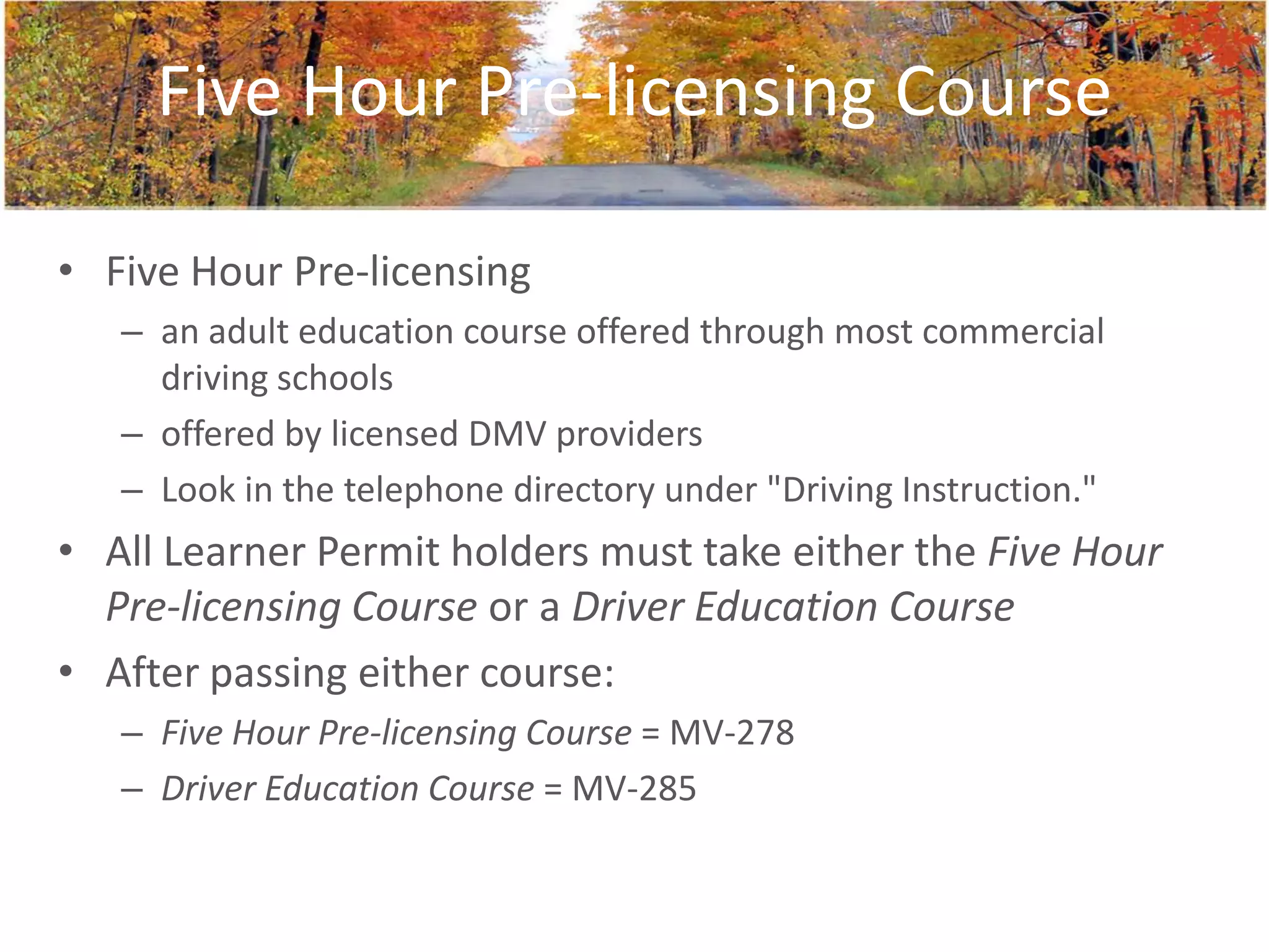 Driver's license powerpoint | PPTX