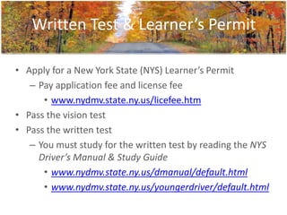 Driver's license powerpoint | PPTX