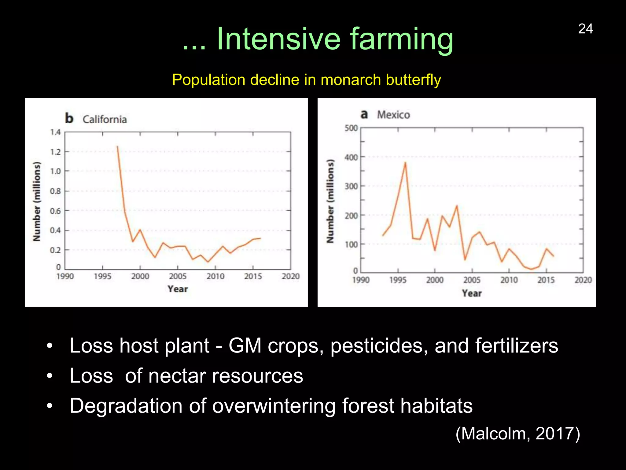 Drivers of insect decline.pptx