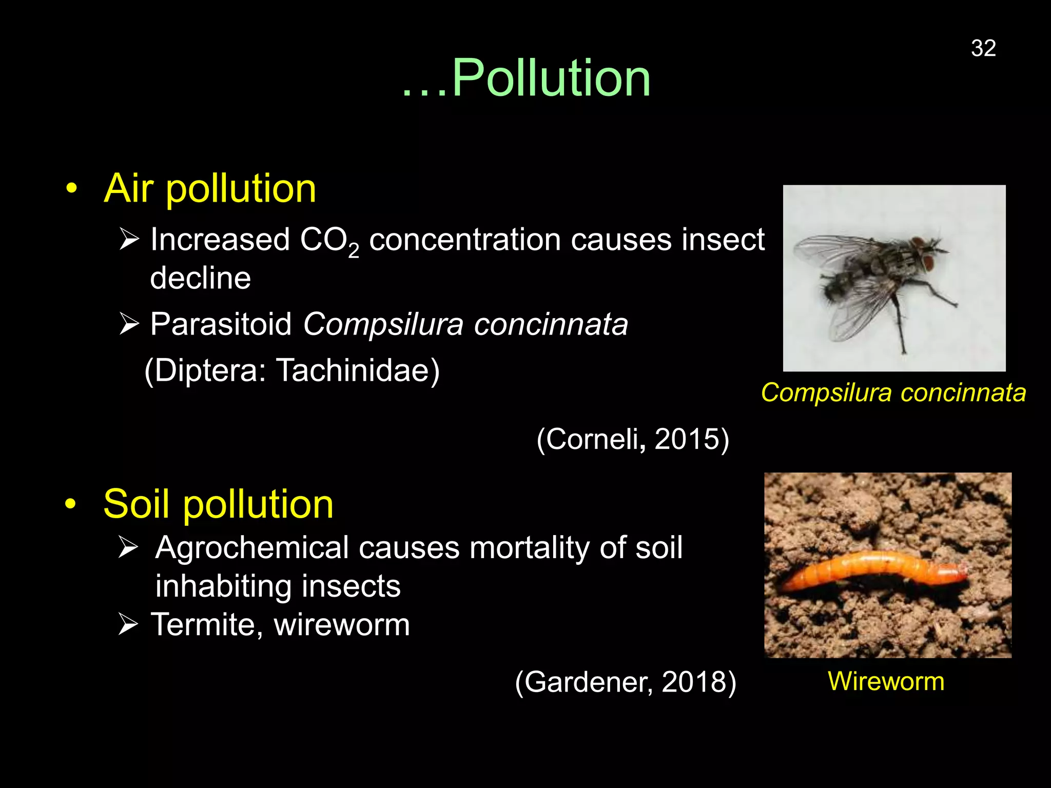 Drivers of insect decline.pptx
