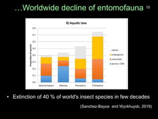 Drivers of insect decline.pptx