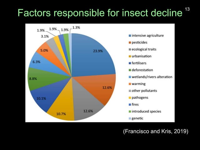 Drivers of insect decline.pptx | Agriculture | Industries
