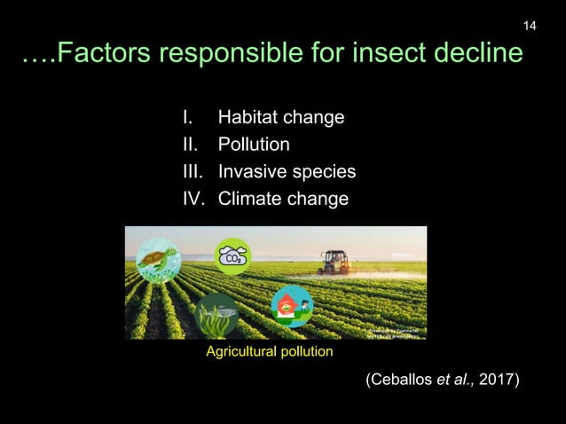 Drivers of insect decline.pptx | Agriculture | Industries