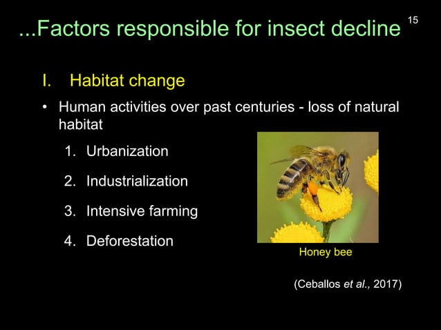 Drivers of insect decline.pptx | Agriculture | Industries