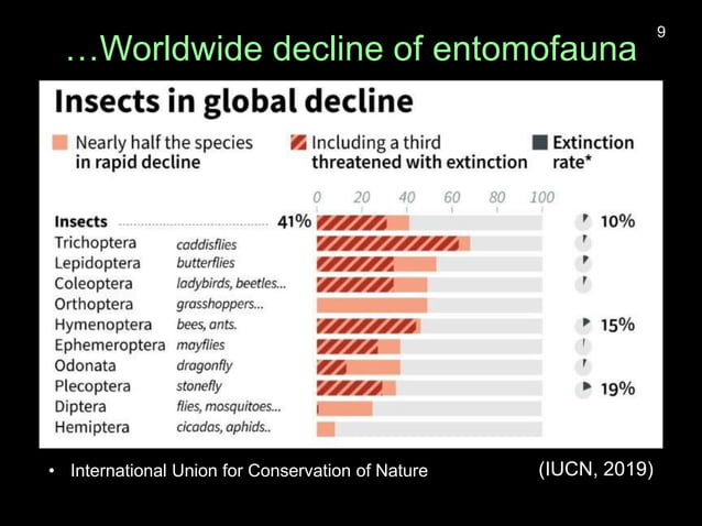 Drivers of insect decline.pptx | Agriculture | Industries