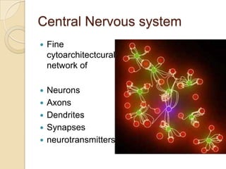 Drive through child neurology with special reference toneurobehavioural ...