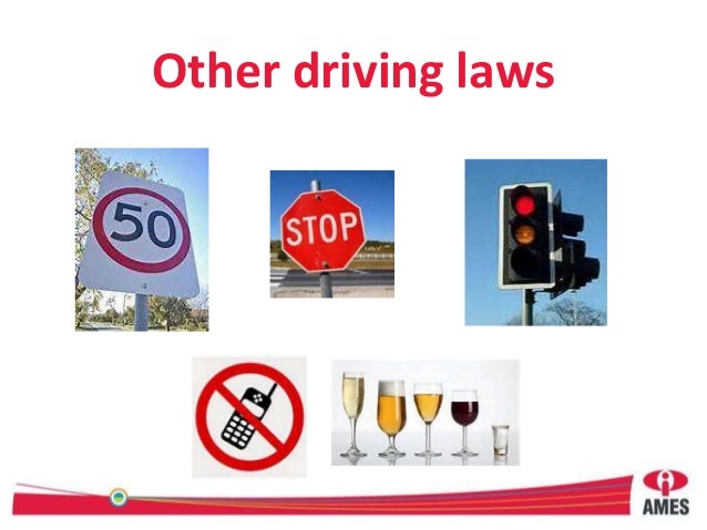 Driving australian law in orientation slideshare