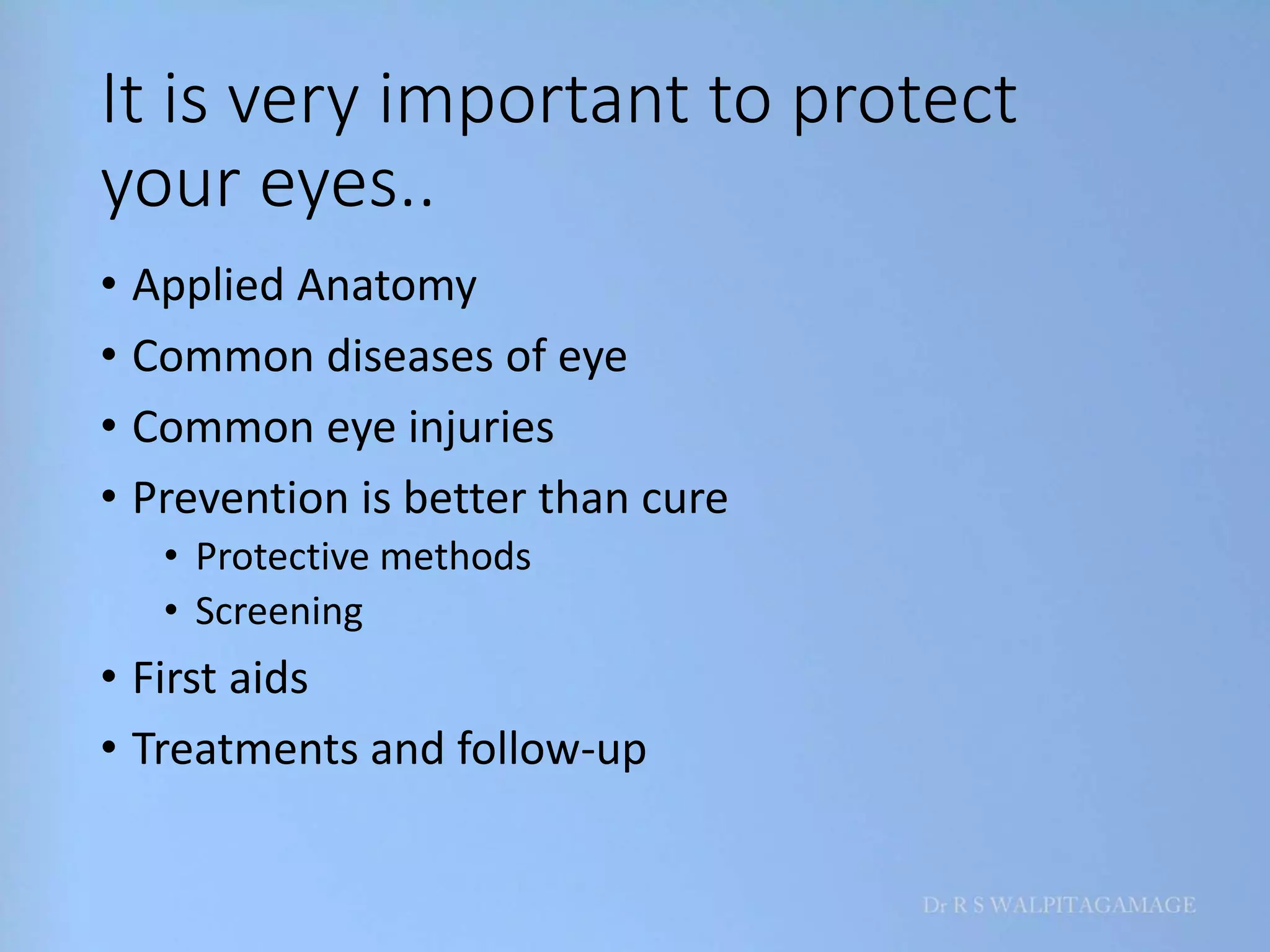 Common Eye Diseases | PPTX