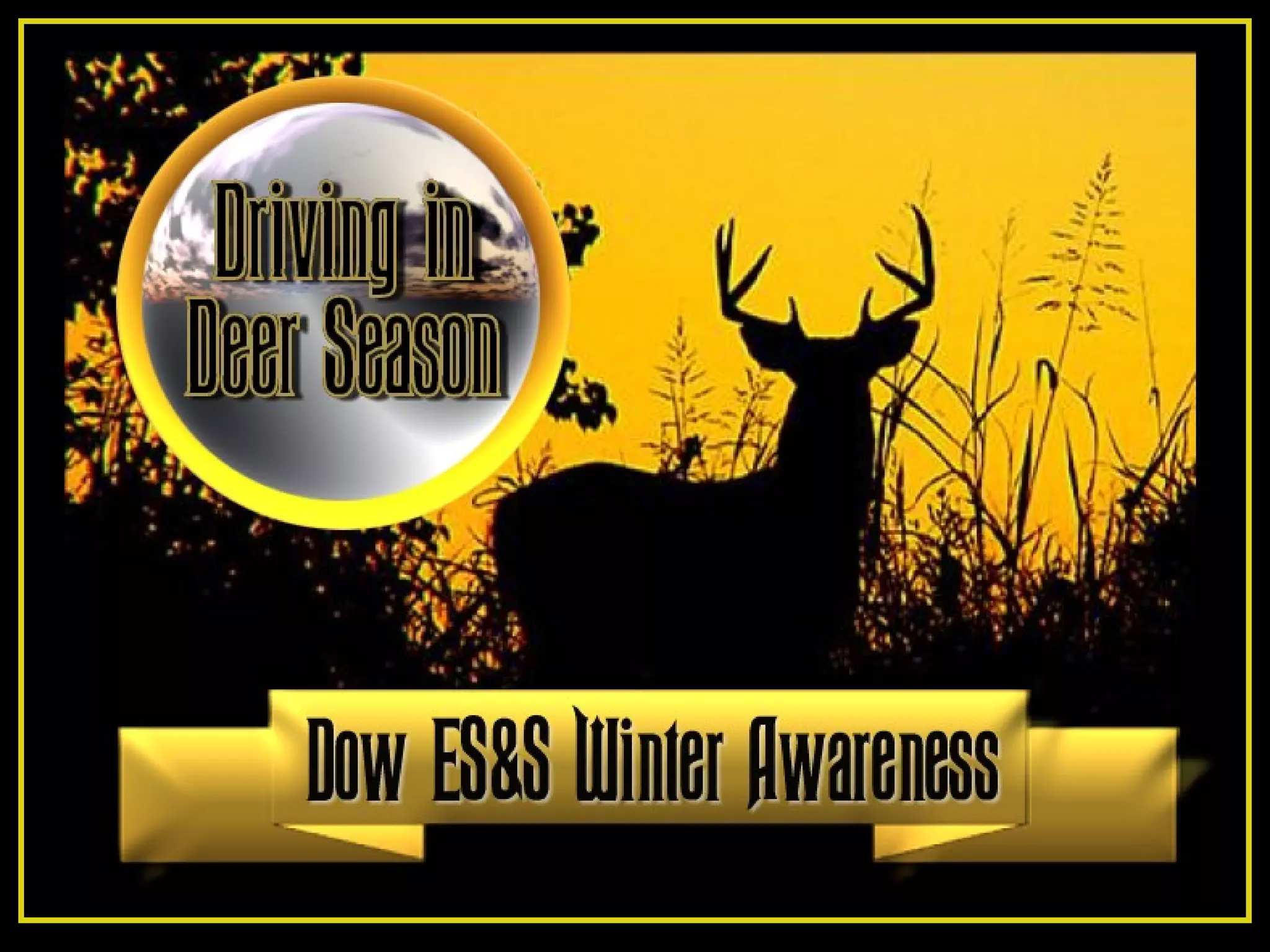 Driving Safe In Deer Season | PPS