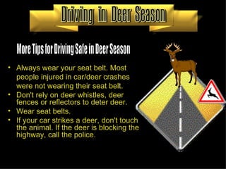Driving Safe In Deer Season | PPS