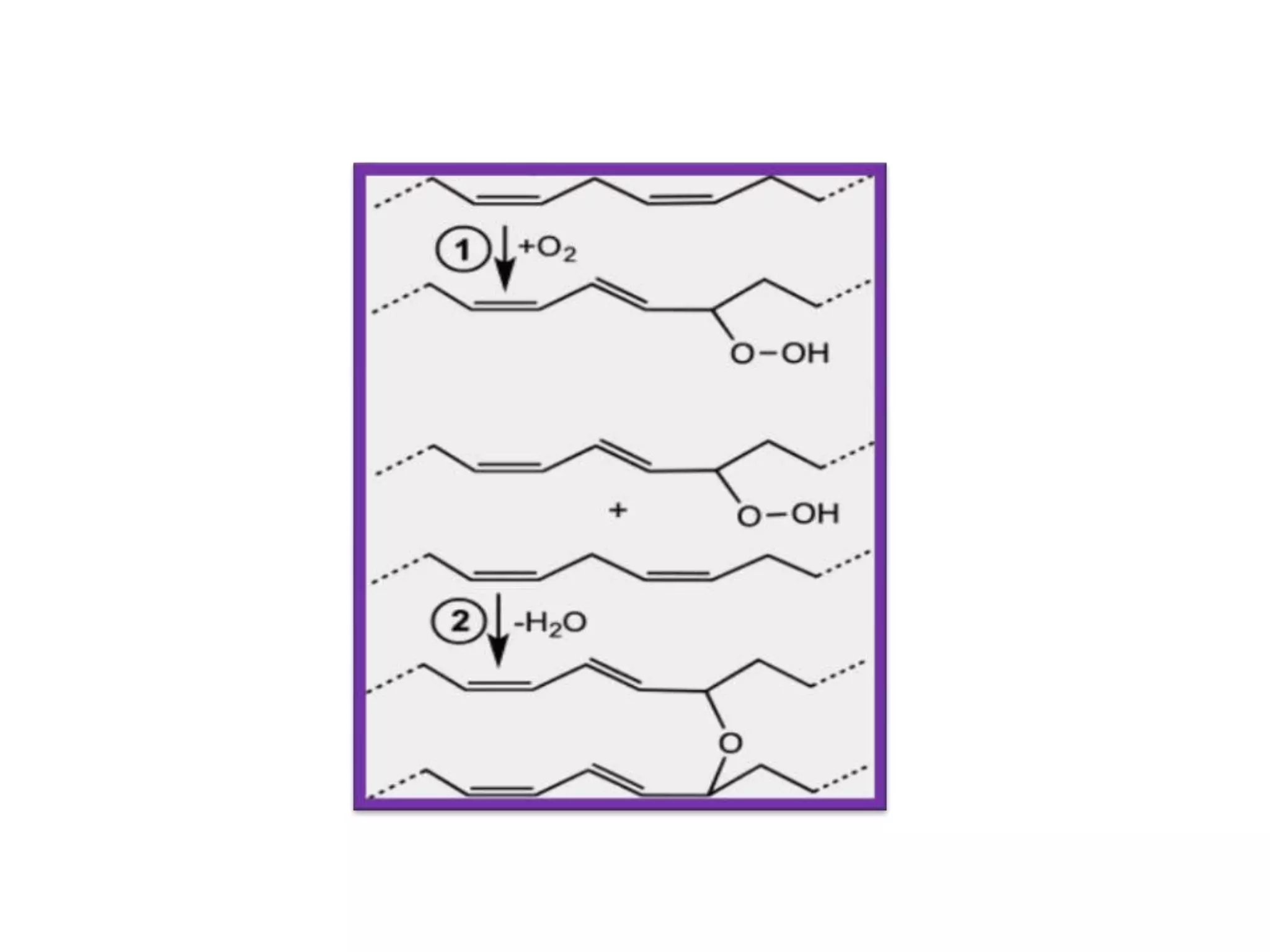 Drying of oil | PPTX