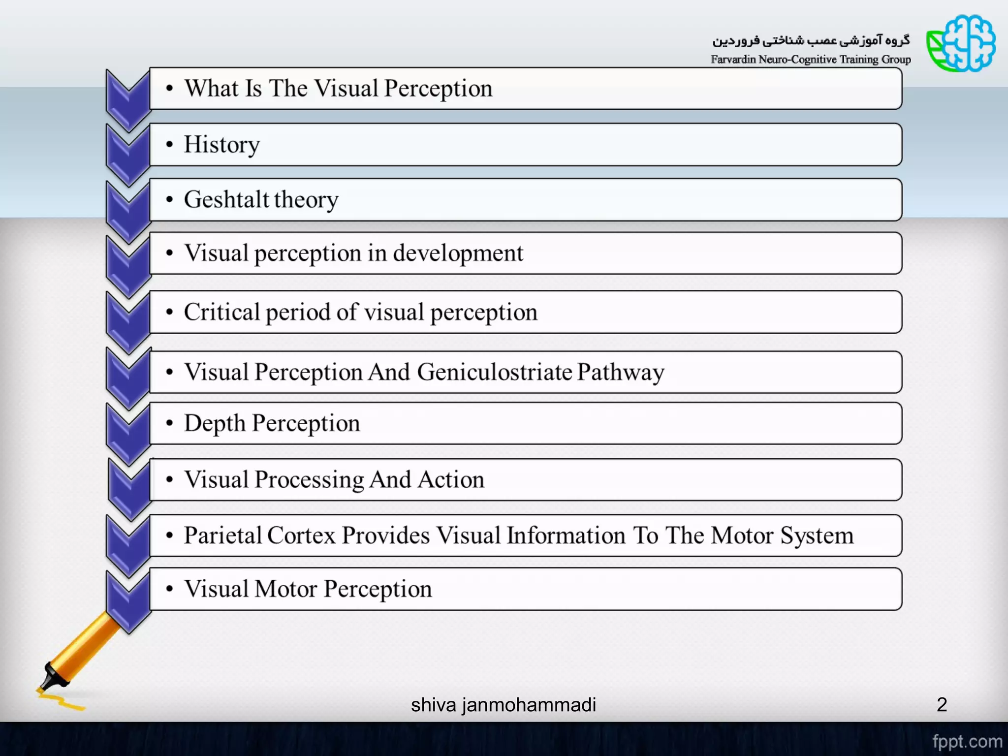 visual motor perception in Cerebral Palsy | PPT