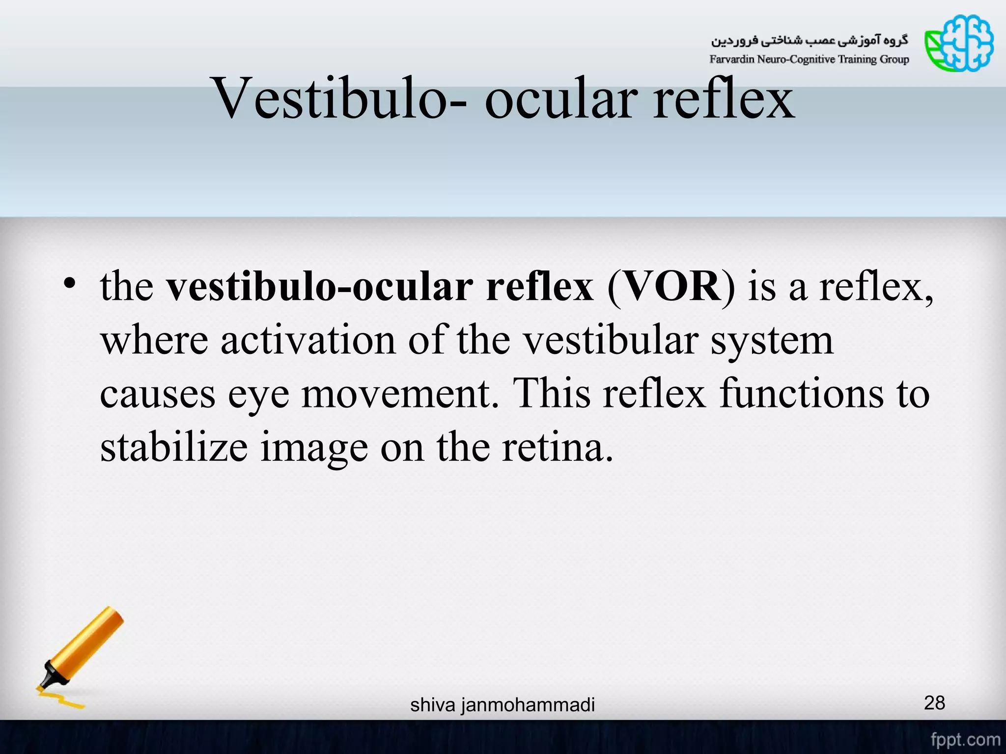 visual motor perception in Cerebral Palsy | PPT