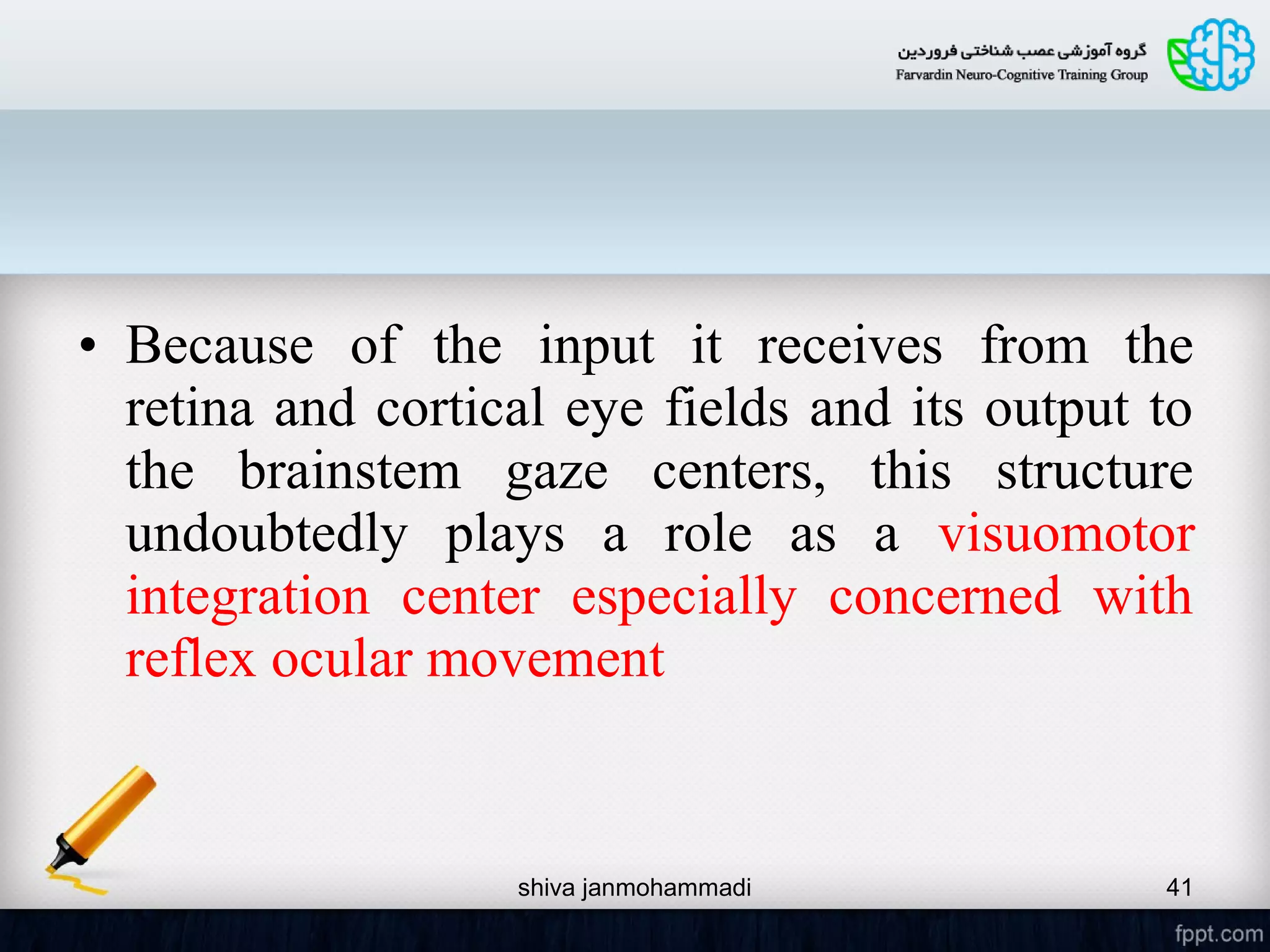 visual motor perception in Cerebral Palsy | PPT