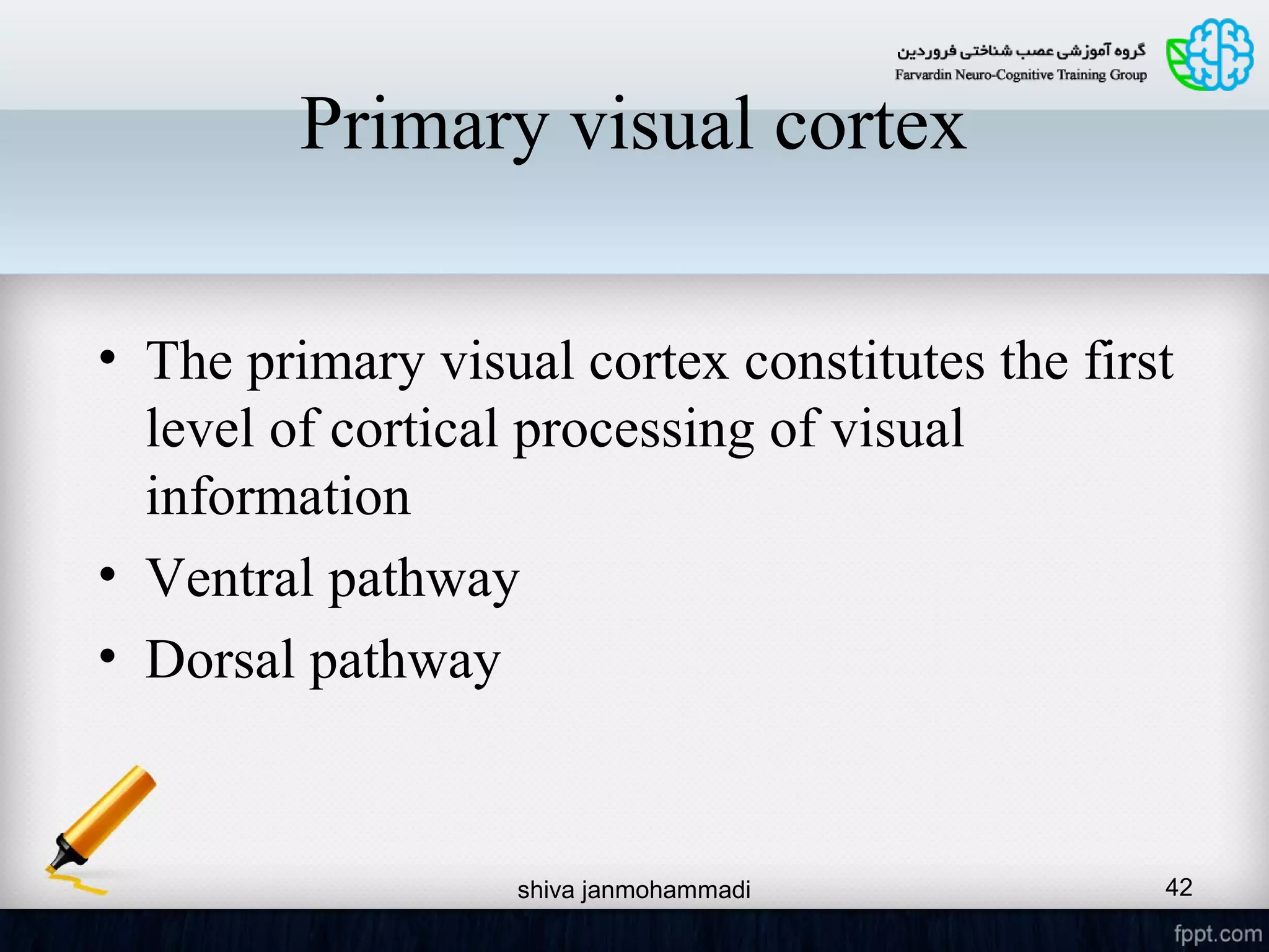 visual motor perception in Cerebral Palsy | PPT