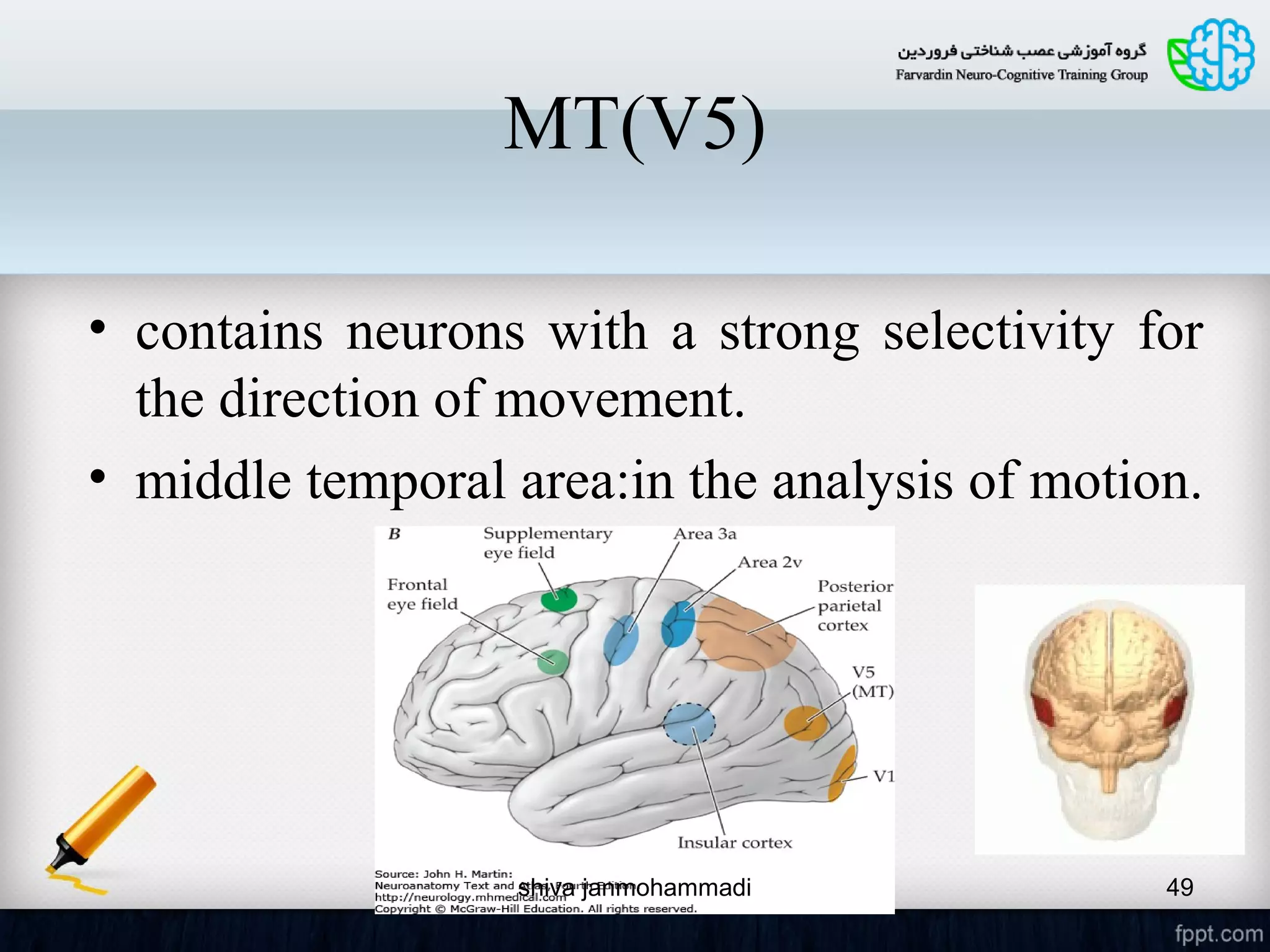 visual motor perception in Cerebral Palsy | PPT